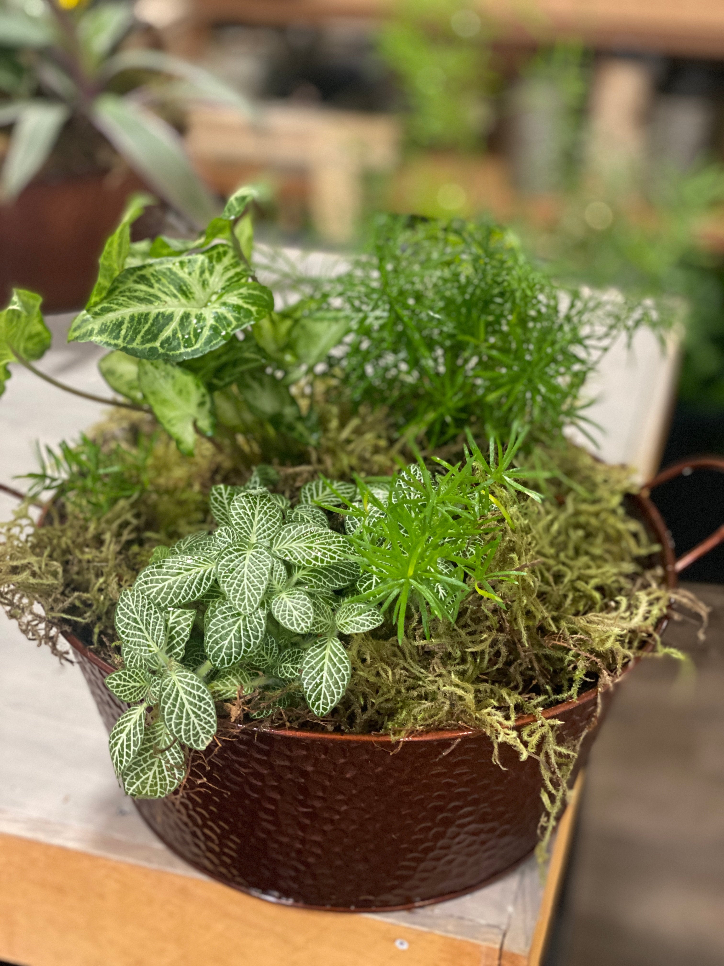 Plant Gardens Bada Bloom Plant Gardens Bada Bloom