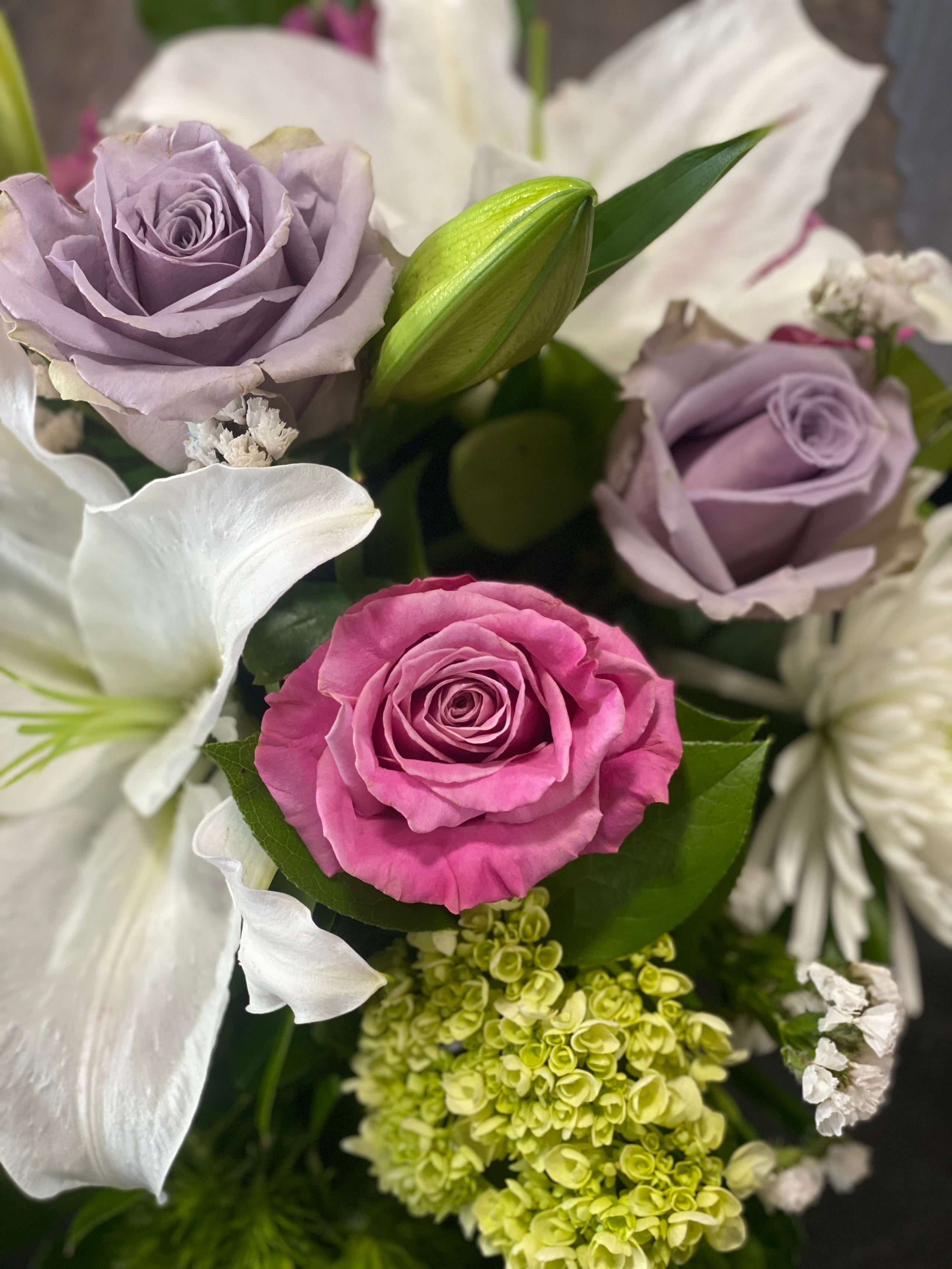 baby girl | bada bloom