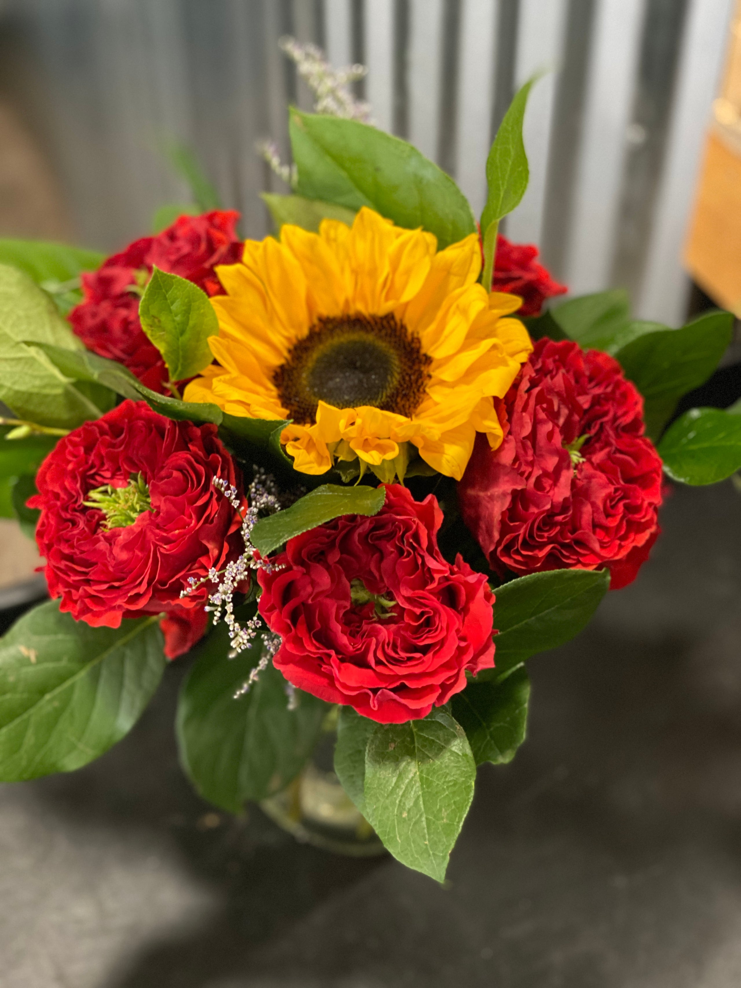 rise + shine | bada bloom